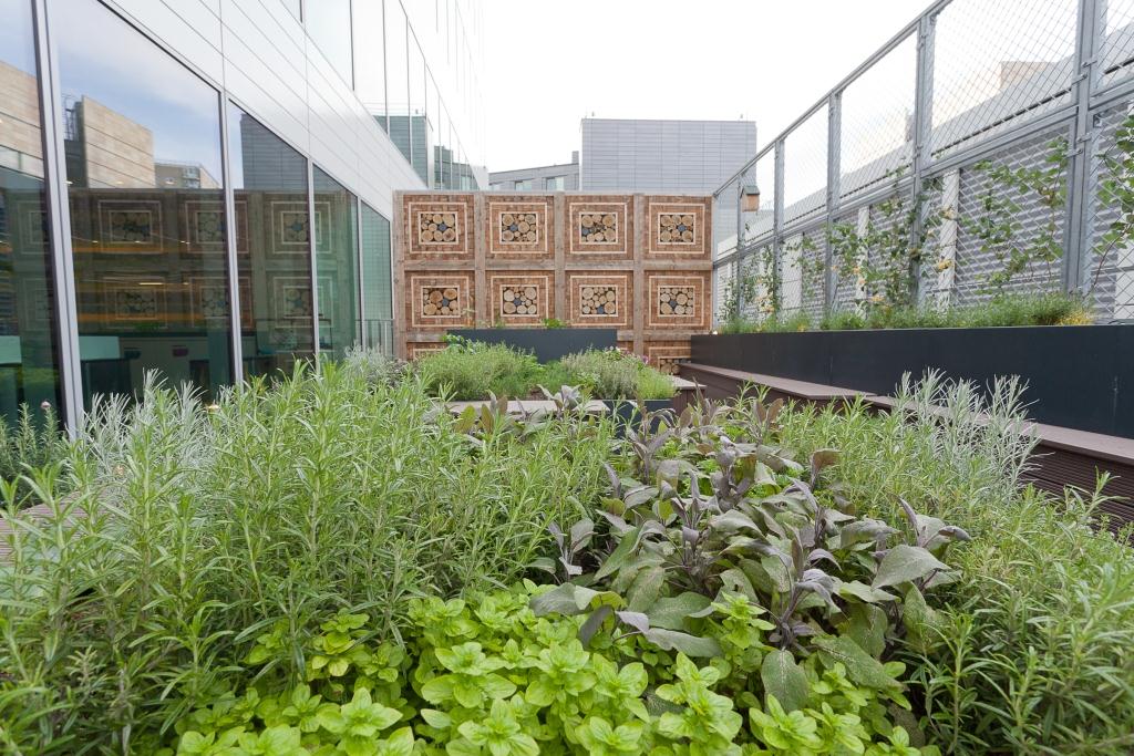 Coming soon: Open-City launches Green Sky Thinking 2012