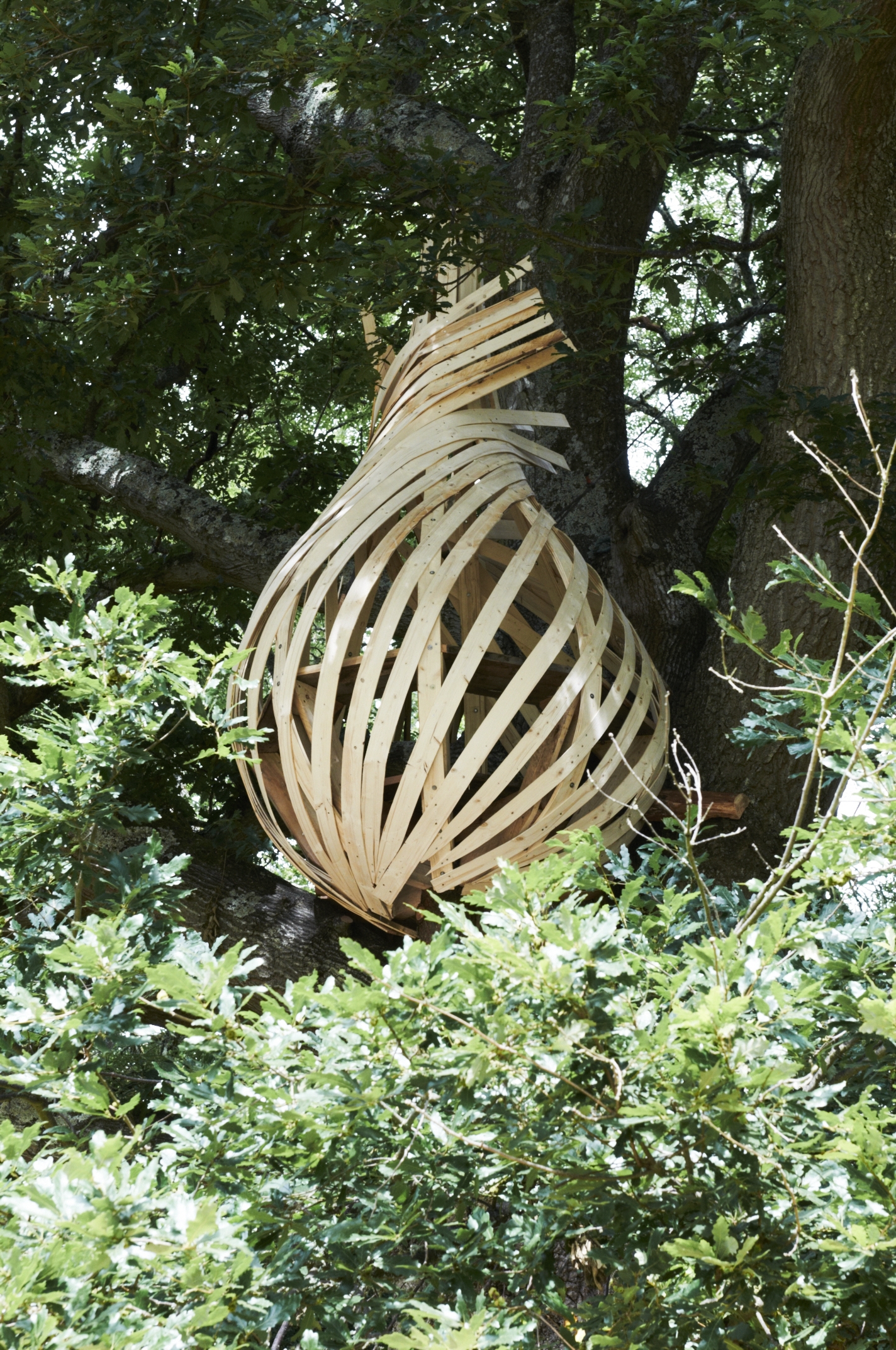Jerry Tate completes Dartmoor treehouse