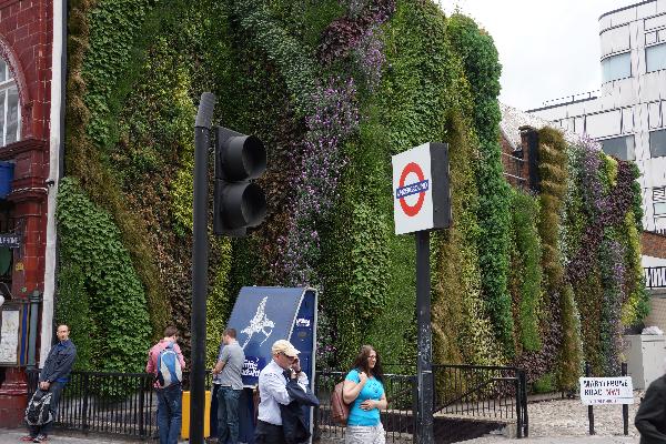 Green Sky Thinking: TfL's Green Wall in Central London