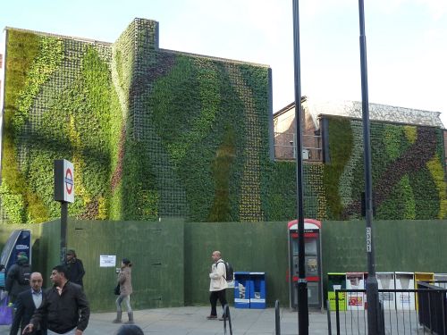 Green Sky Thinking: TfL's Green Wall in Central London
