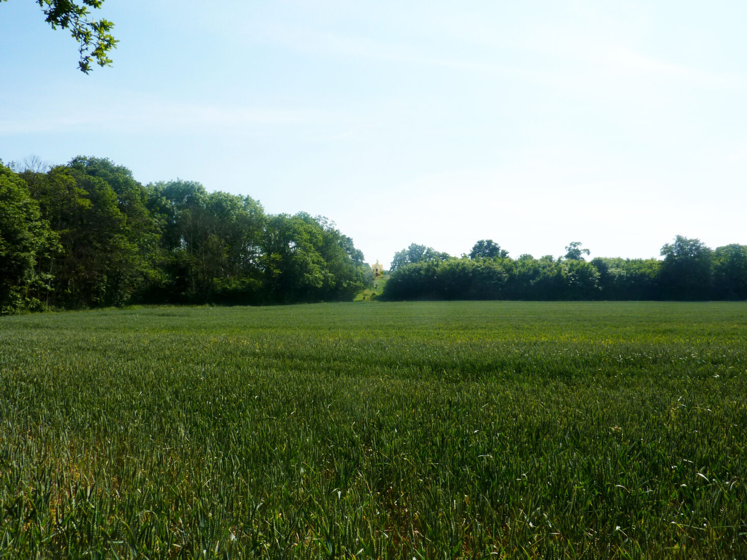 FAT and Grayson Perry land planning for Essex holiday home