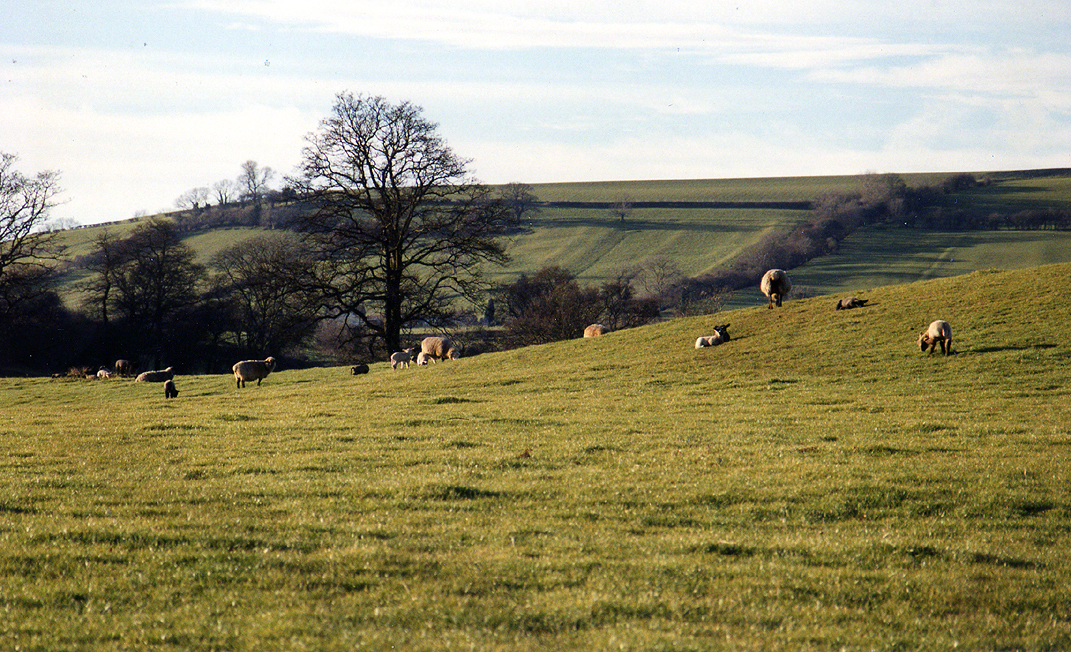 Planning minister: We must build on 1,500 square miles of open countryside