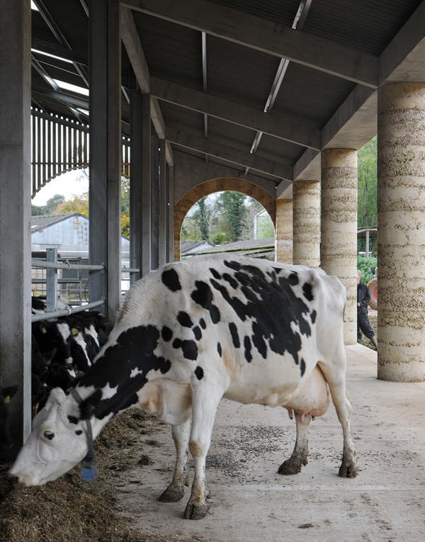 Stephen Taylor's Shatwell Farm welcomes first cows