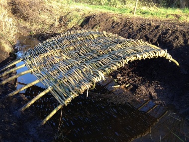 The Woodland Trust's living bridge at Cow Hollow