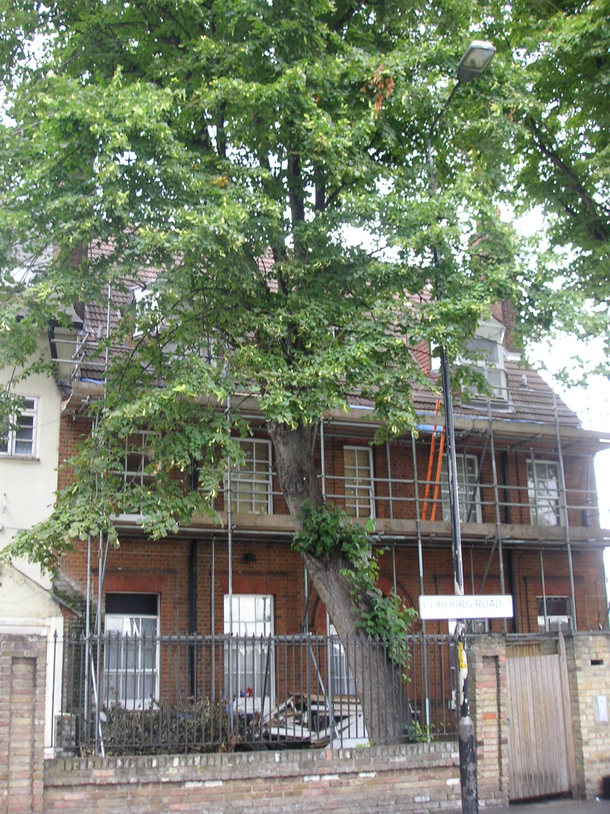 Good tree management can make or break a project