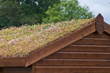 Green roofs