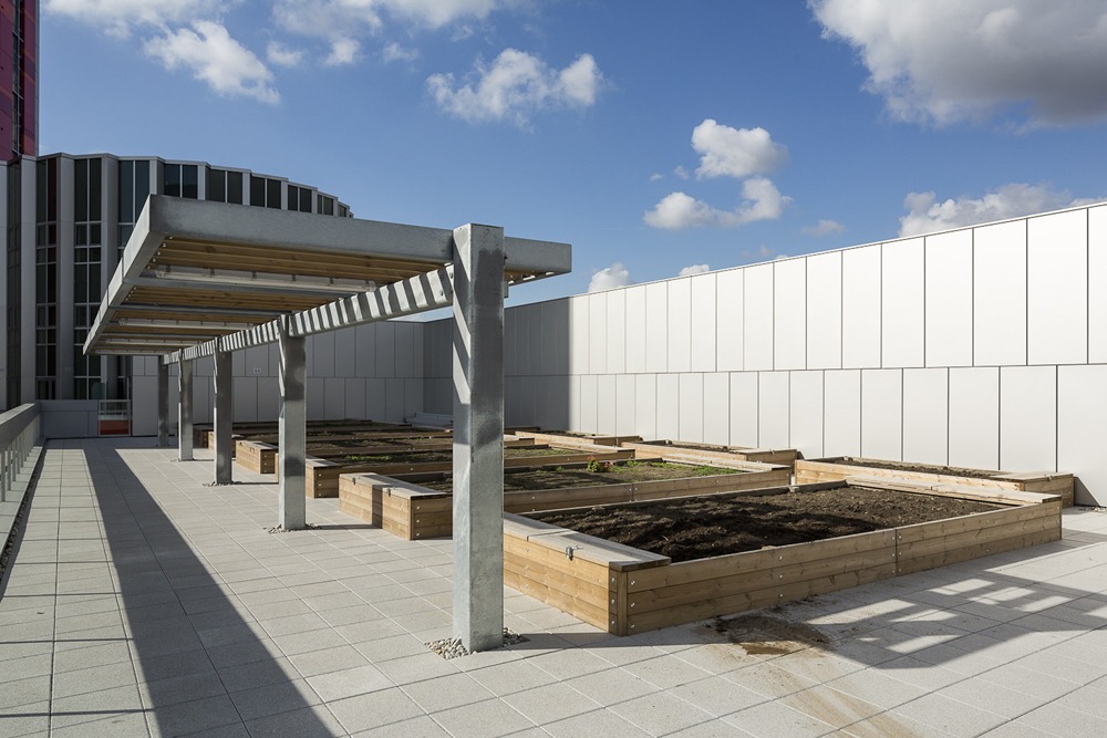 Red and green: Rathbone Market by CZWG