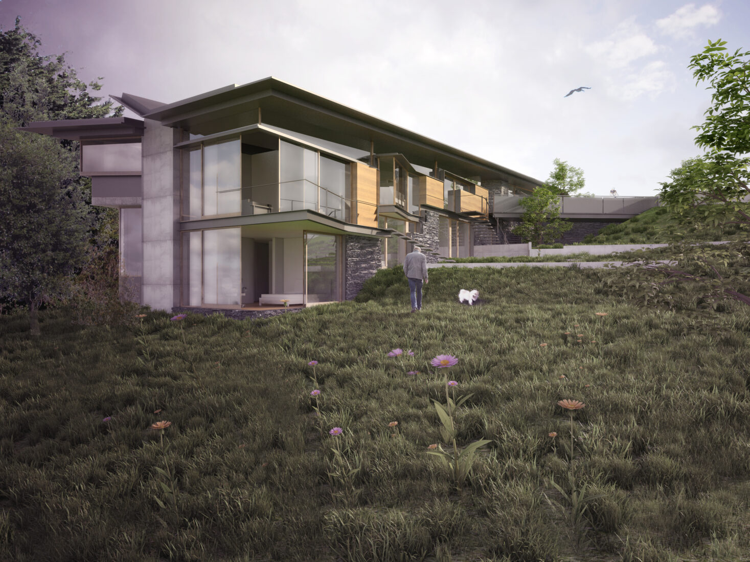 Richard Murphy reveals Dublin Bay hillside home