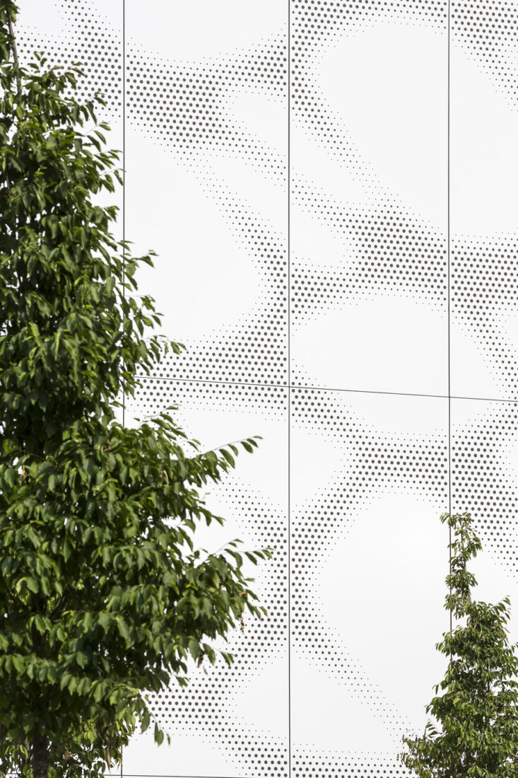 Bisset Adams goes into liquidation after 27 years