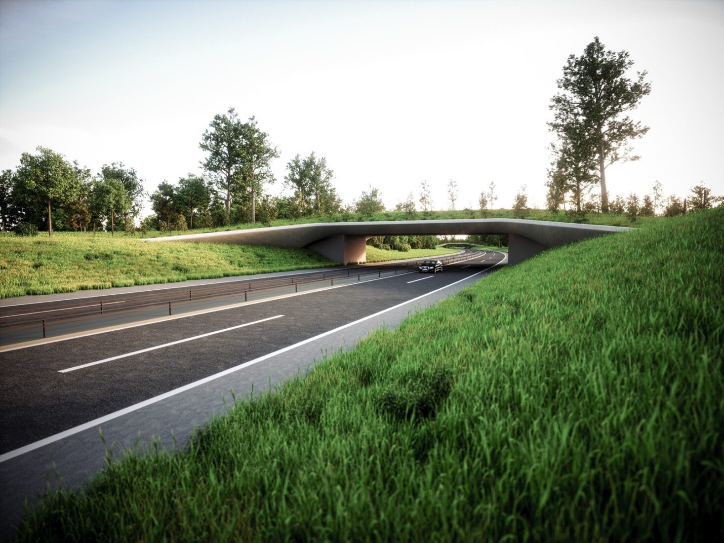 Euan Maharg wins Seven Lochs Park 'green bridge' contest