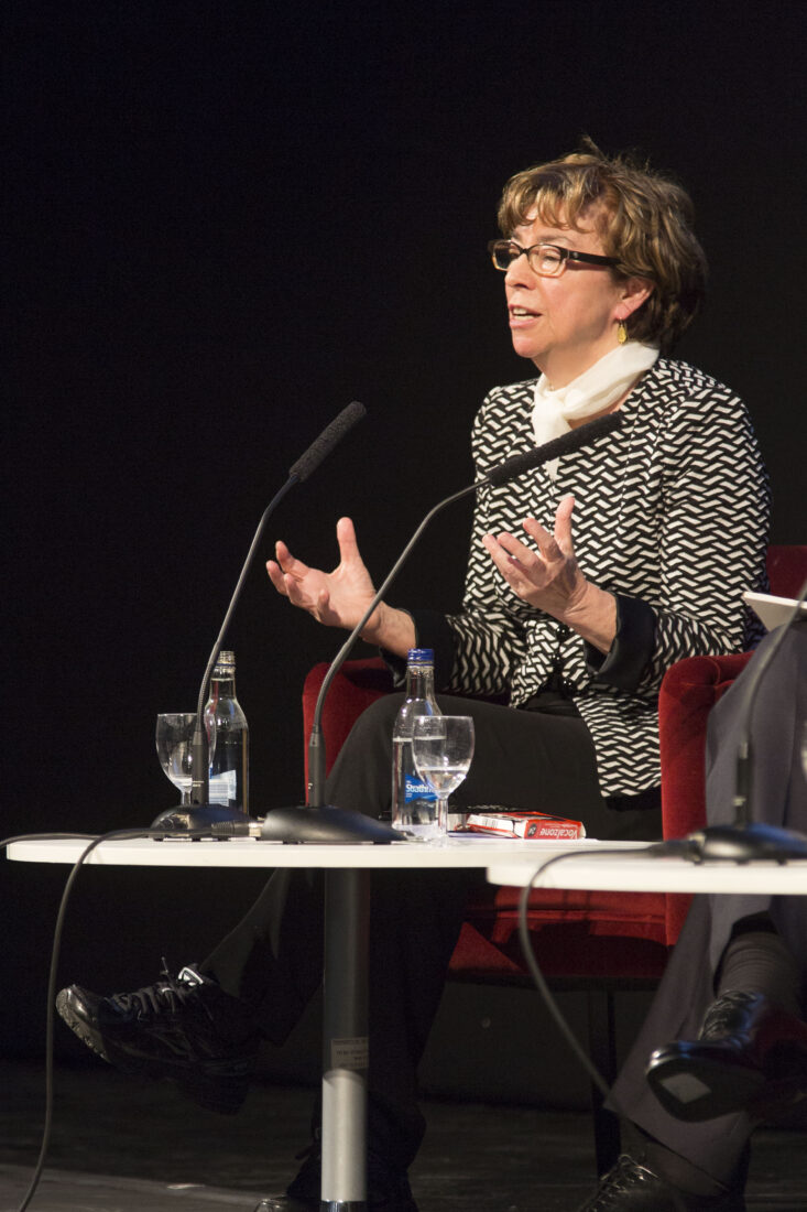 Festival debate puts Skyline campaign back in the spotlight