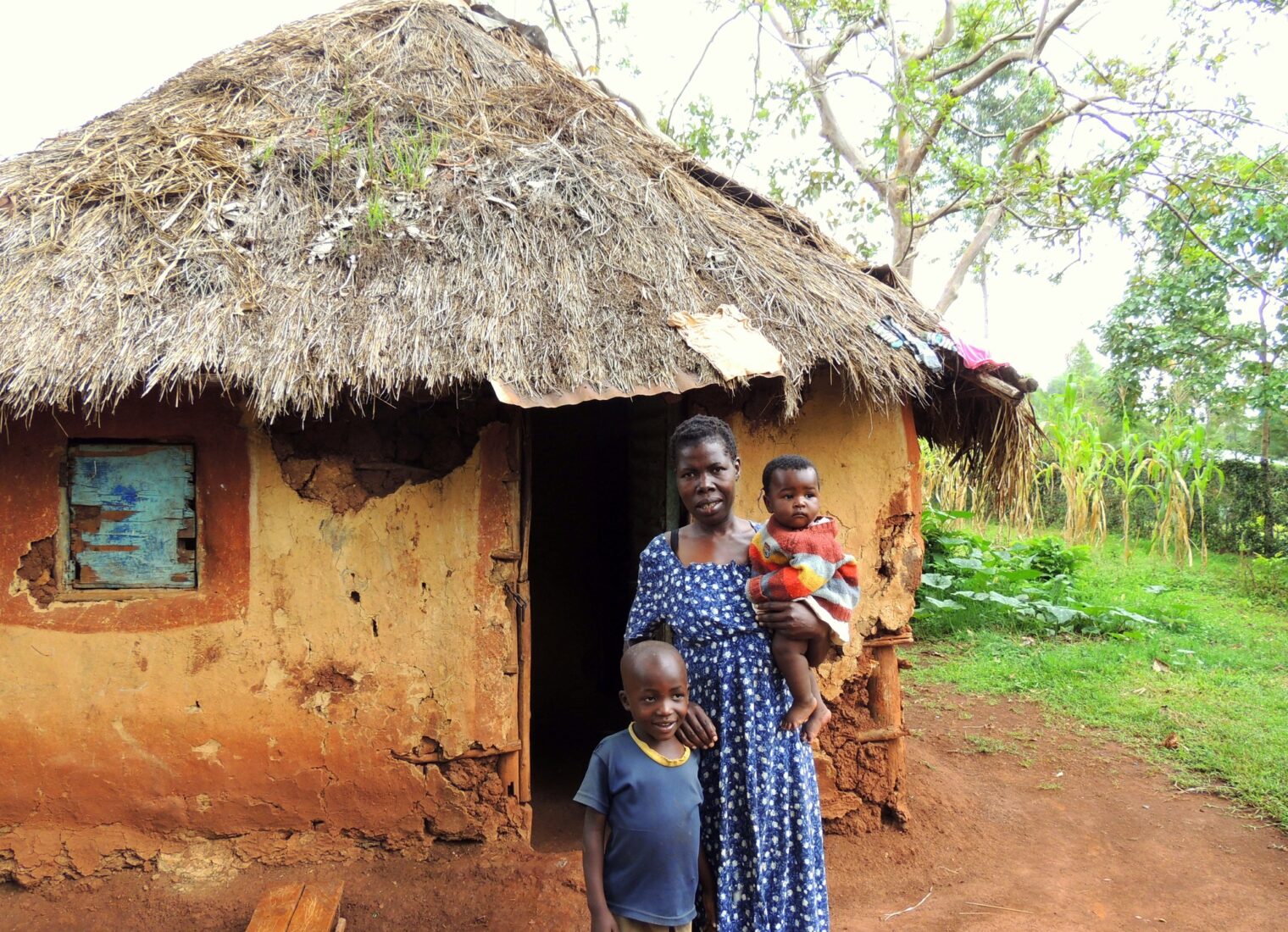 Student contest launched for mud huts in Ghana