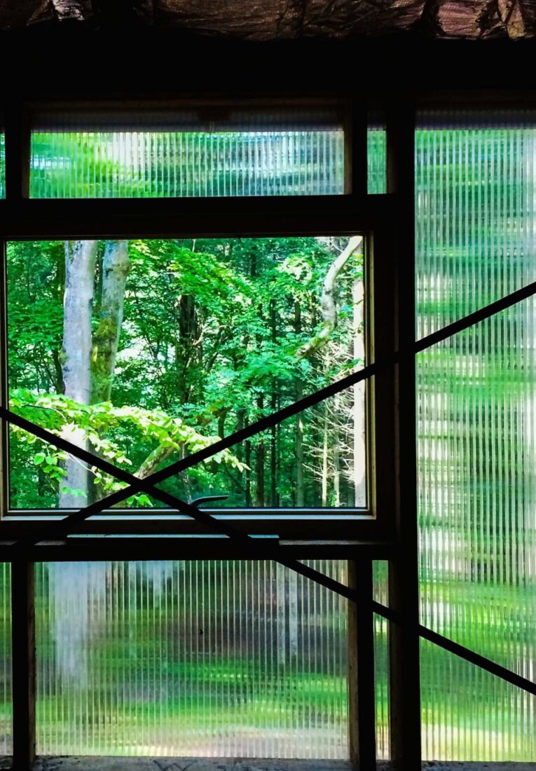 In the forest: The ‘house’ that £15k built