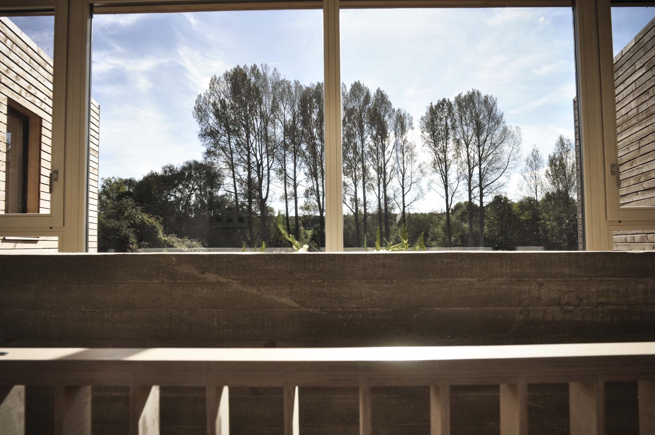 Studio Bark reveals £295k timber-clad zero carbon home