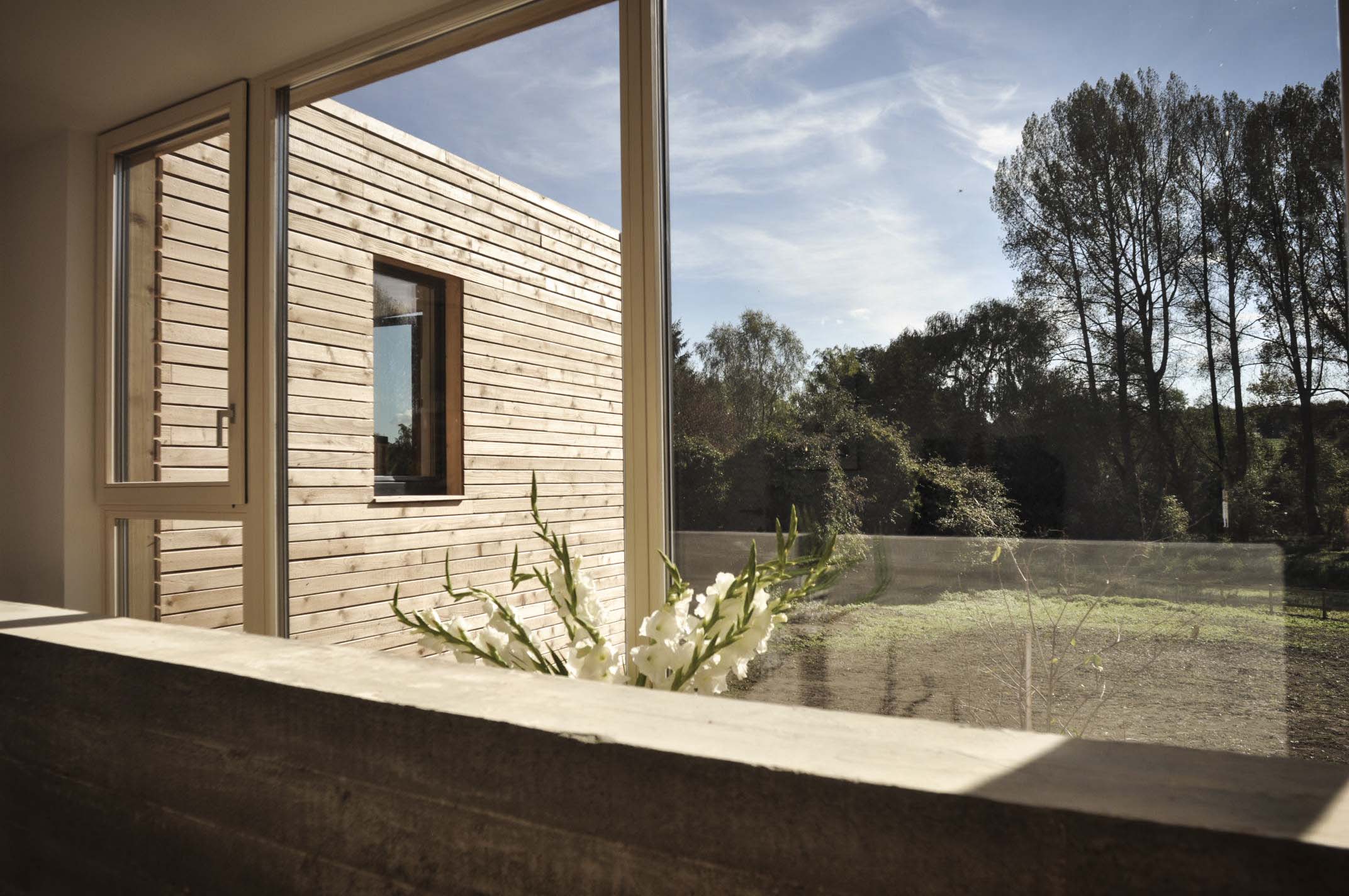 New practices: Studio Bark