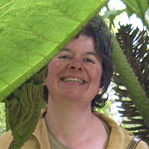 Jane Wernick to speak at AJ Women in Architecture luncheon