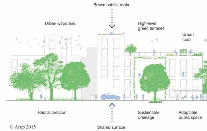UK-GBC calls for more green infrastructure in the built environment