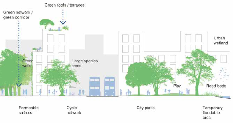 UK-GBC calls for more green infrastructure in the built environment