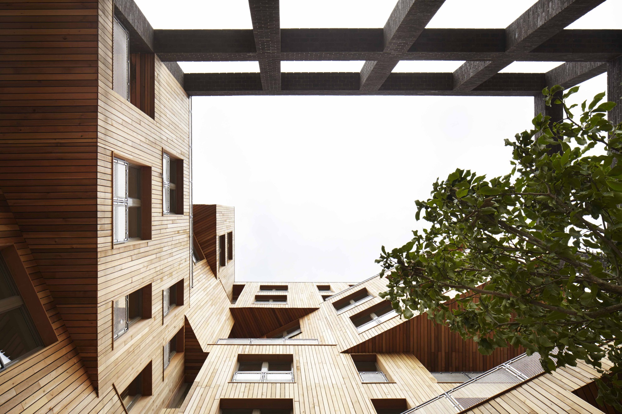 First look at record-breaking cross-laminated timber building
