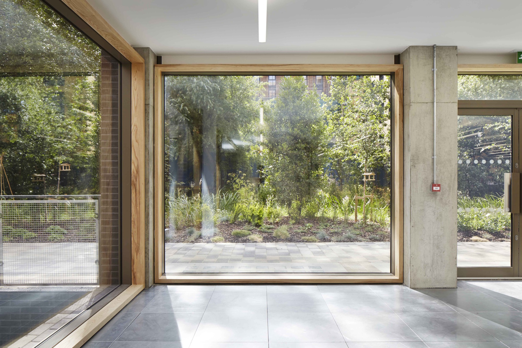 First look at record-breaking cross-laminated timber building