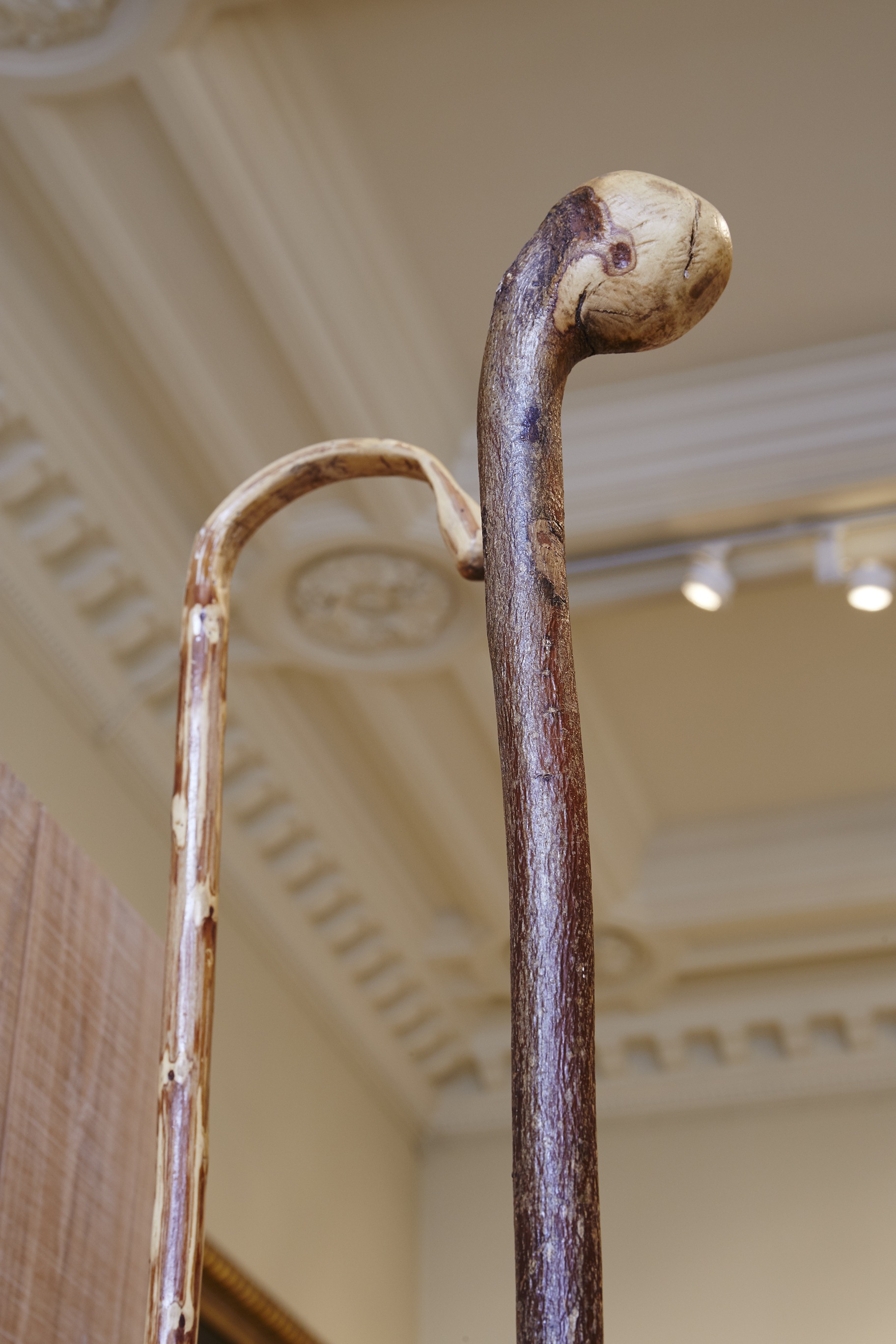 Assemble reveals timber ‘forest’ celebrating Robin Day’s work