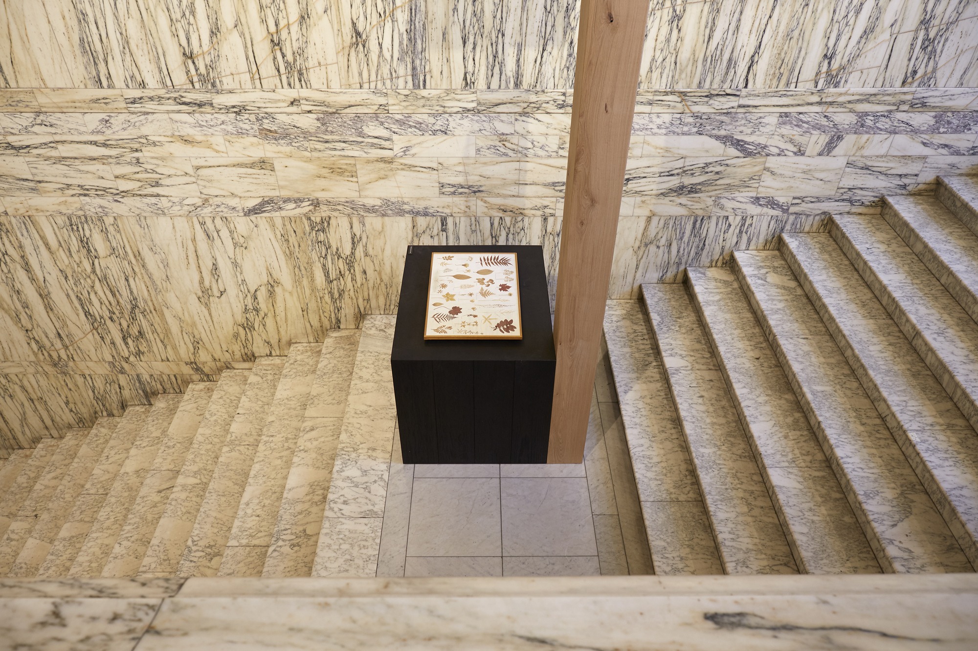 Assemble reveals timber ‘forest’ celebrating Robin Day’s work