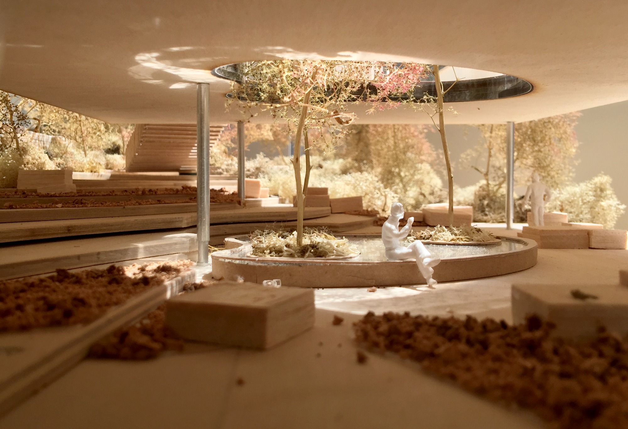 dRMM submits plans for Oldham Maggie’s