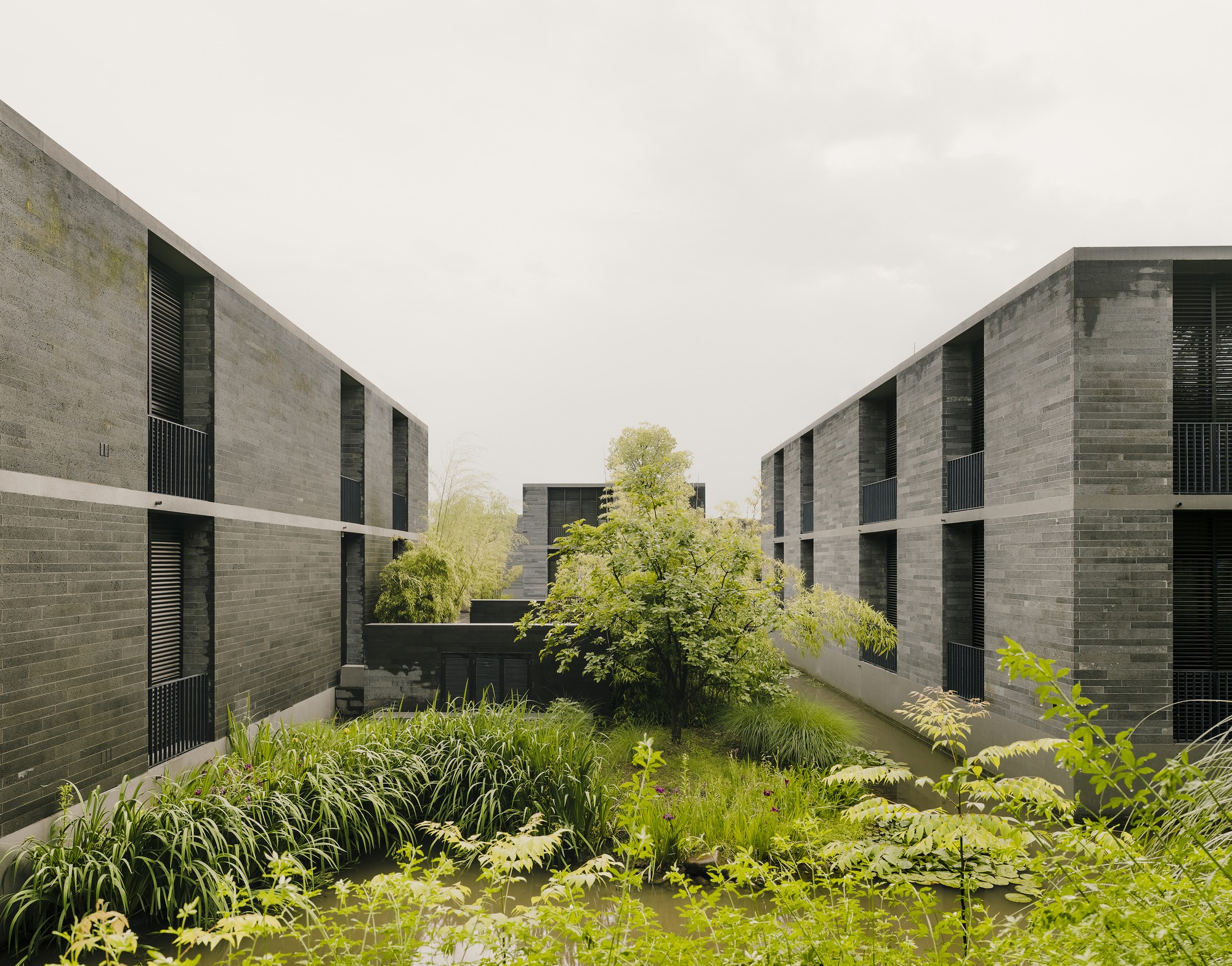 Chipperfield completes 'floating' wetland apartments