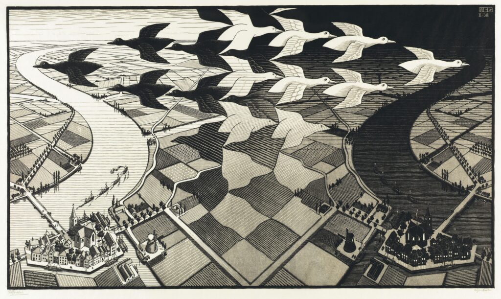 The metamorphoses of MC Escher