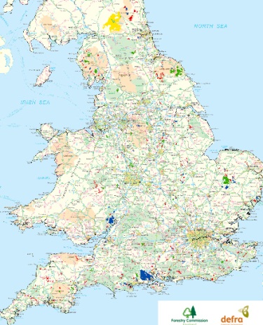 Jerwood opens contest for £30k forest installation