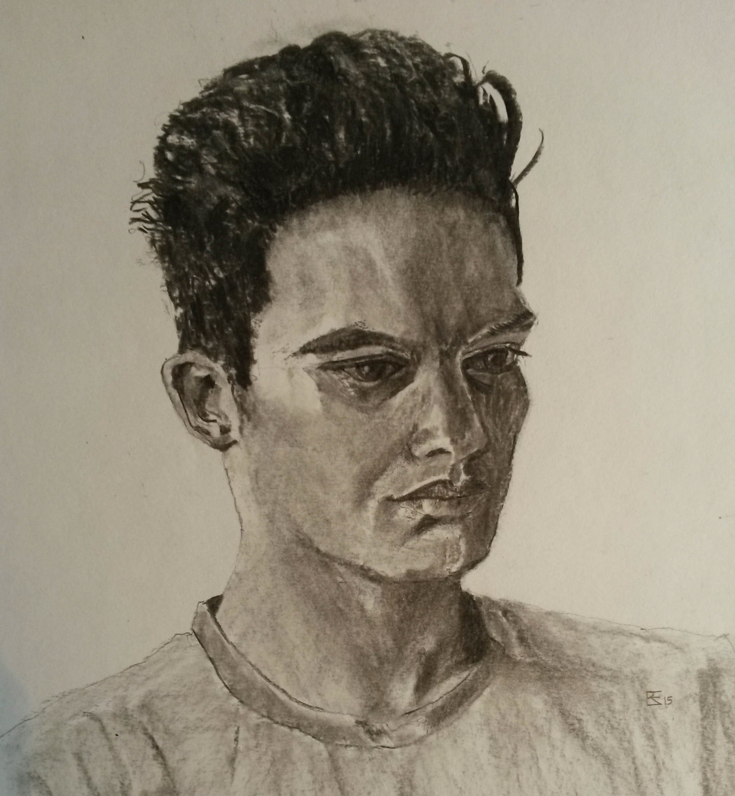 I've taken up portrait painting