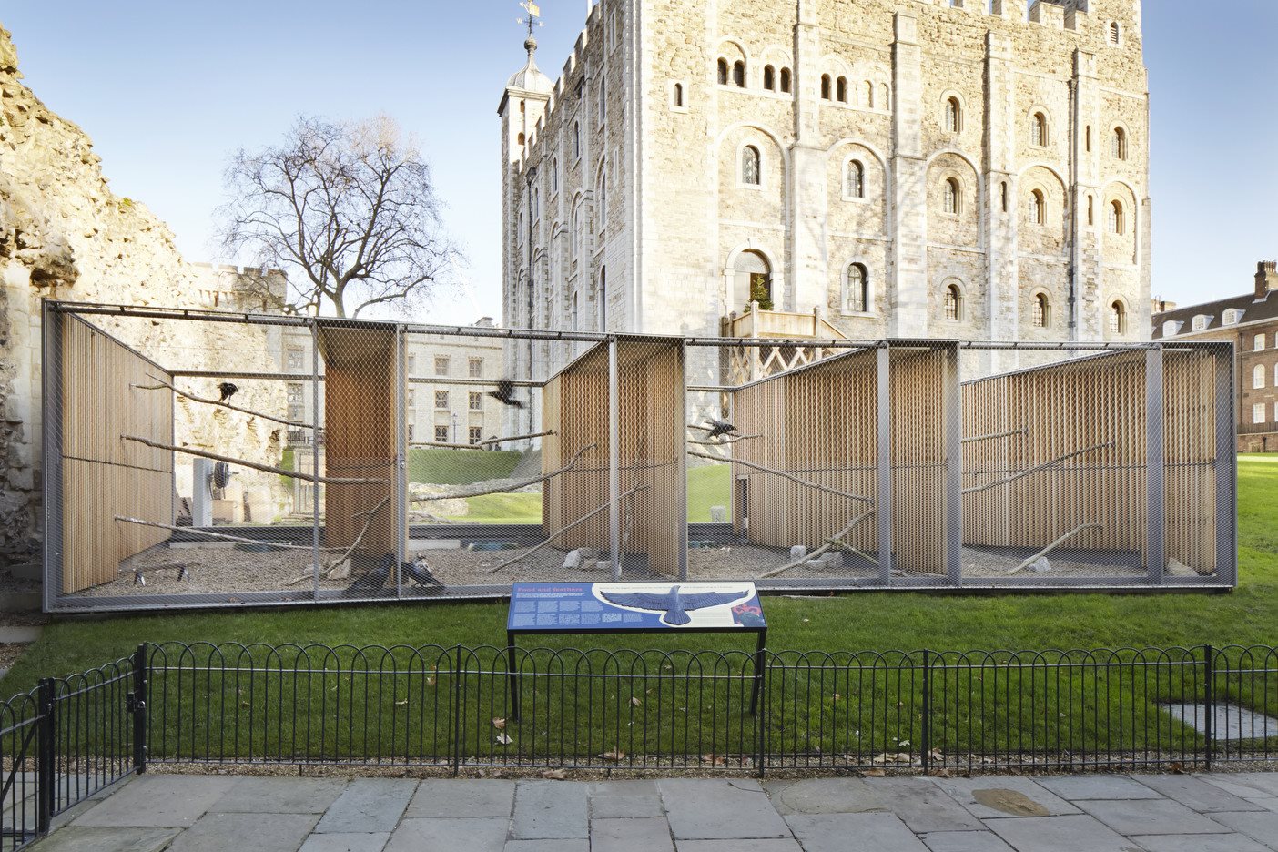 Llowarch Llowarch creates new home for Tower of London ravens