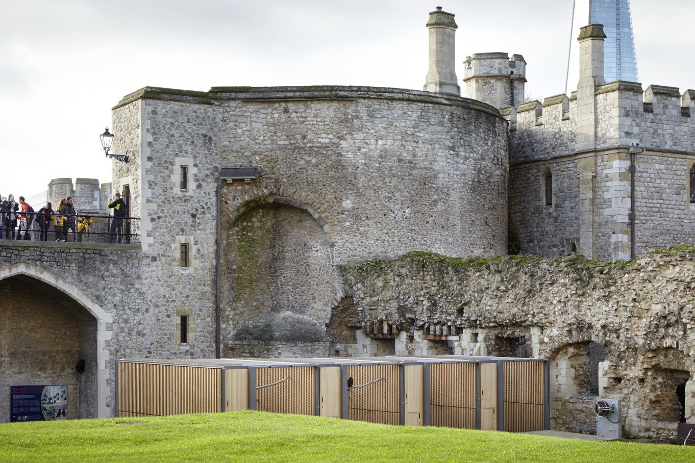 Llowarch Llowarch creates new home for Tower of London ravens