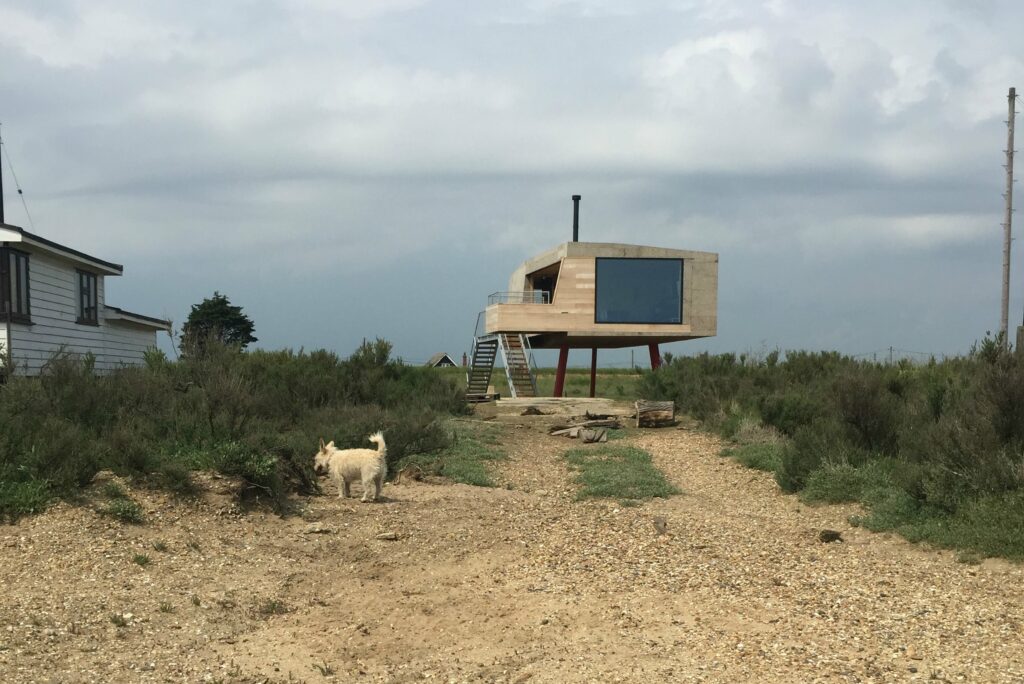 Lisa Shell Architects unwraps cork-clad coastal home