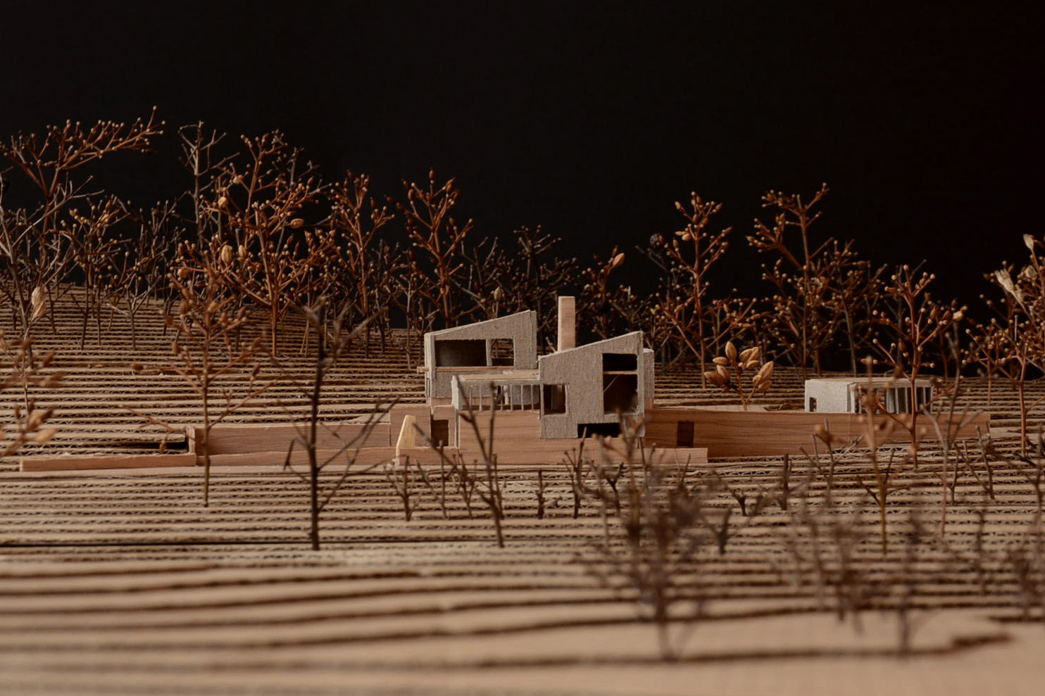 Jonathan Tuckey wins contest to design £1 million private home