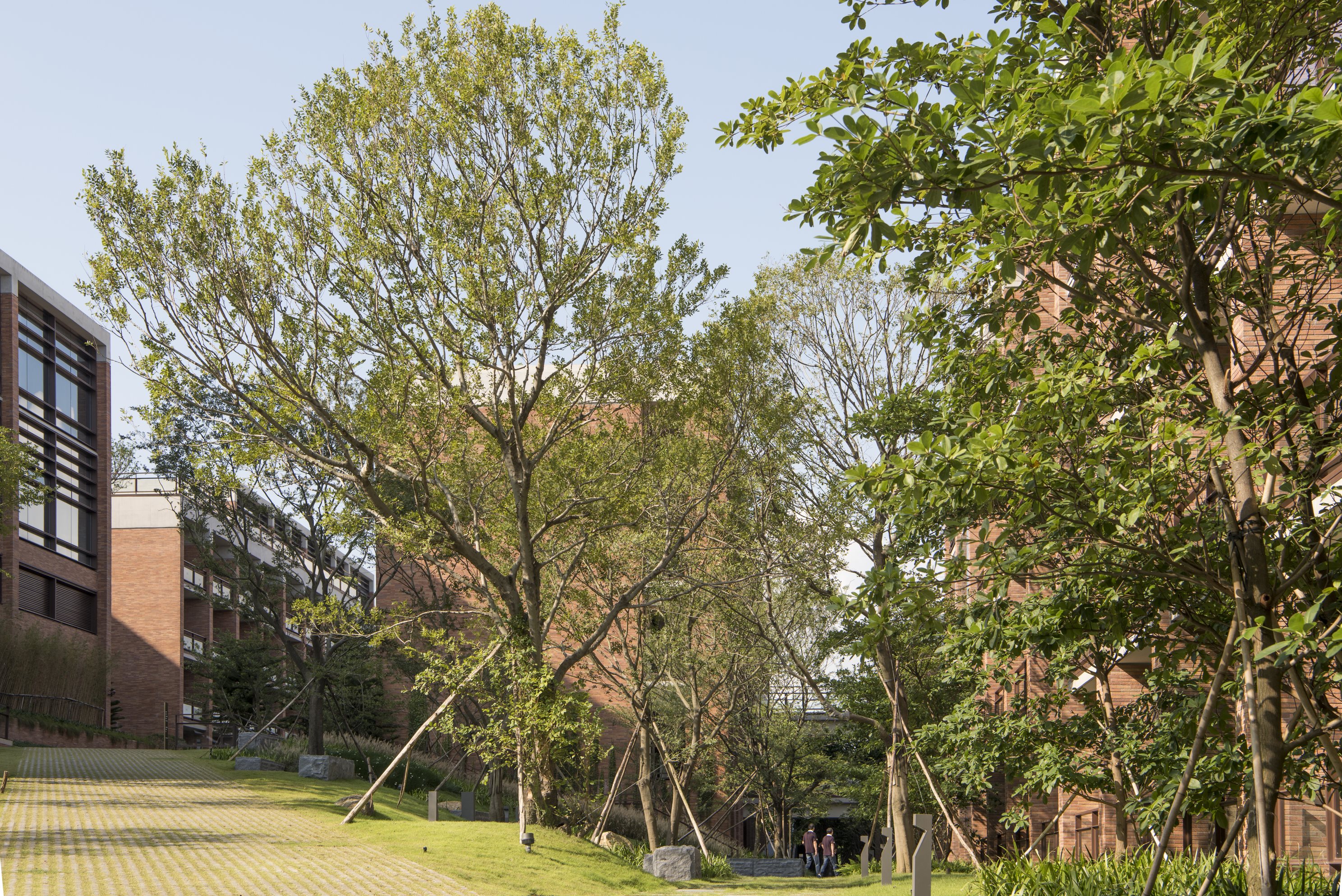 Foster + Partners’ Chinese university building opens