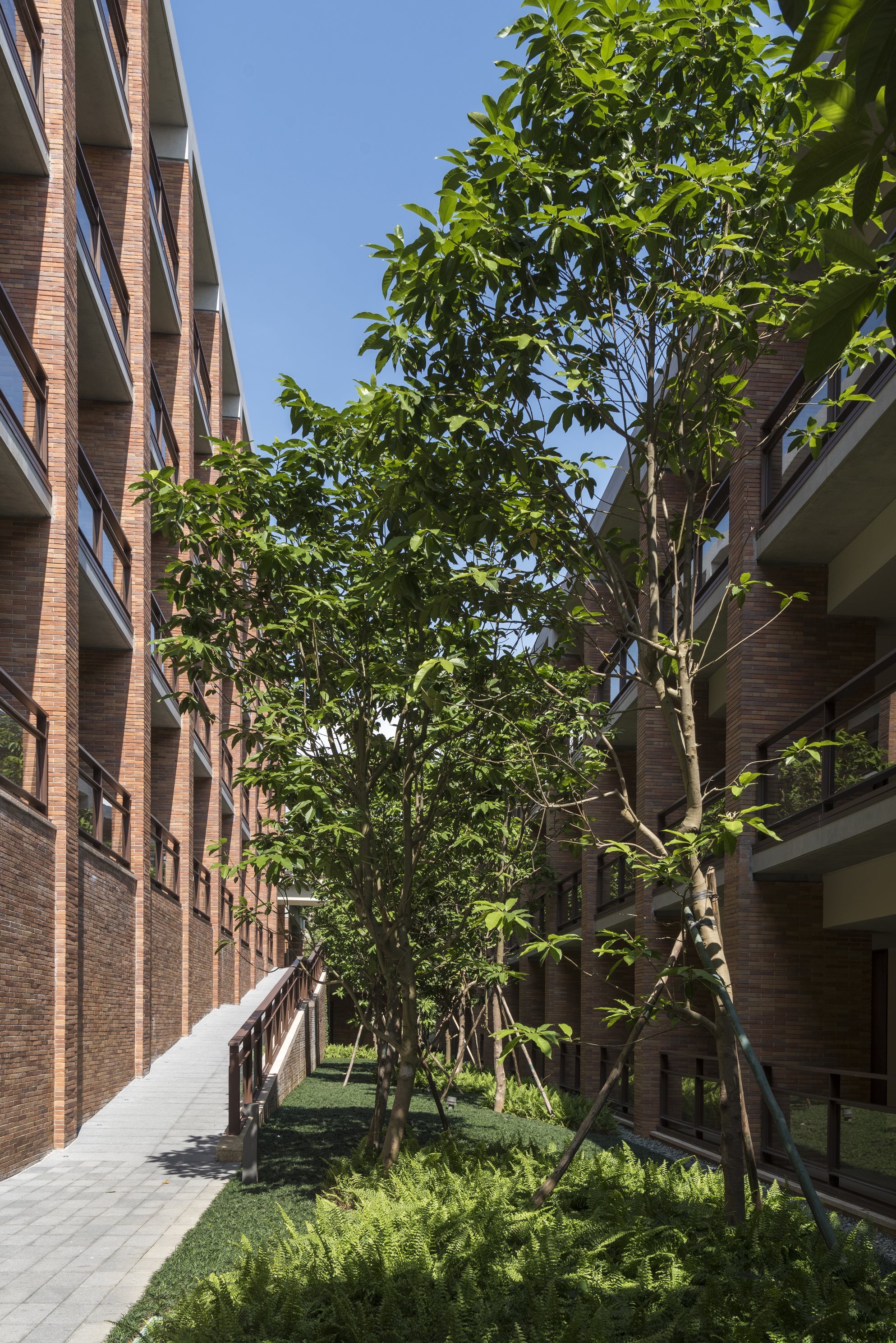 Foster + Partners’ Chinese university building opens