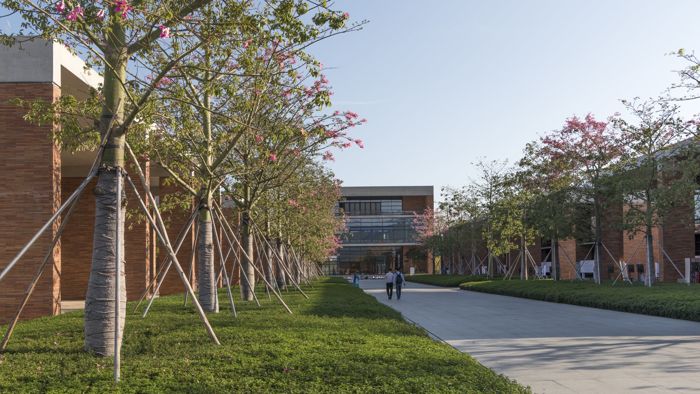Foster + Partners’ Chinese university building opens