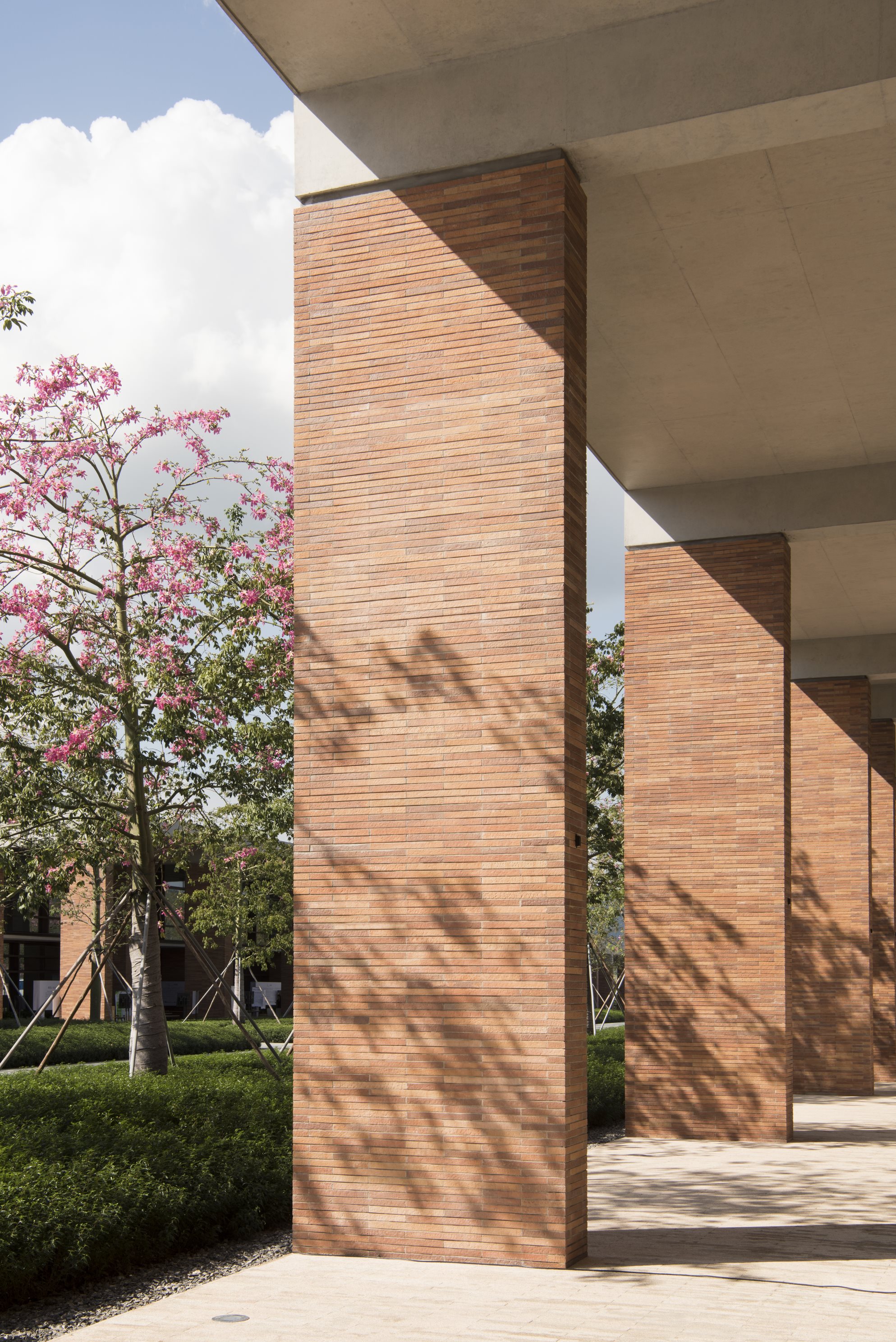 Foster + Partners’ Chinese university building opens