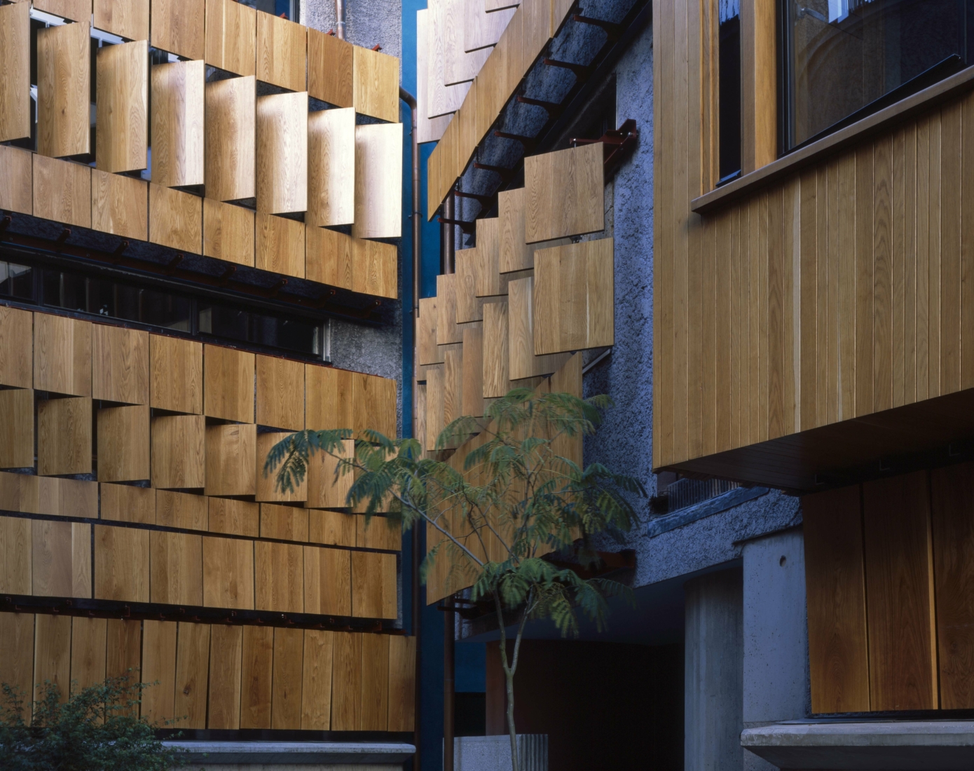 Walmer Yard by Peter Salter: ‘four independent yet intimately related ...