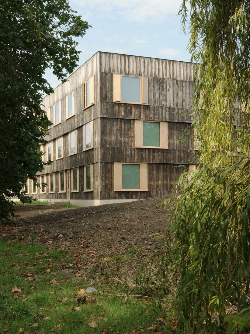 Is 6a architects' Cowan Court really timber Brutalism?