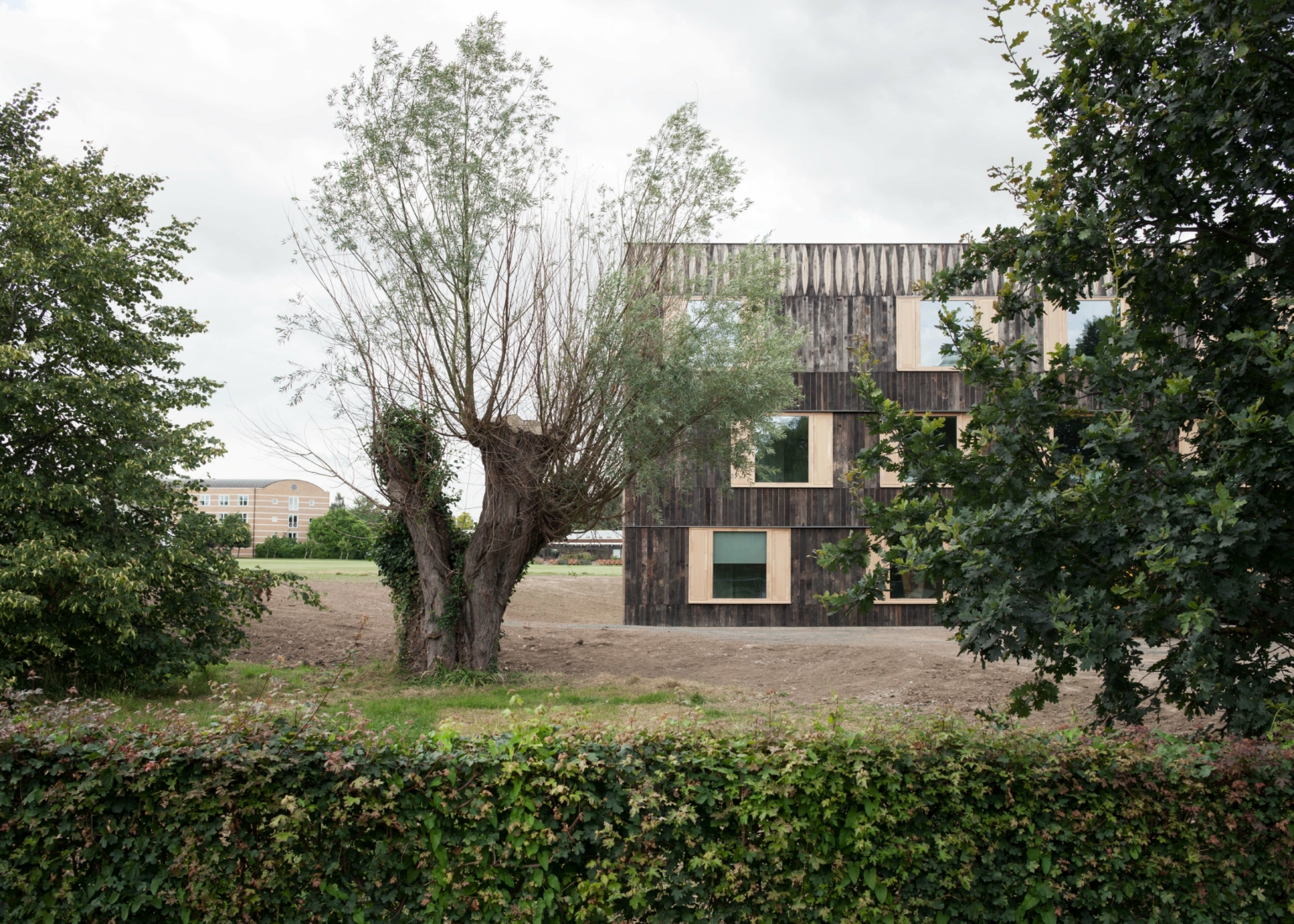 Is 6a architects' Cowan Court really timber Brutalism?
