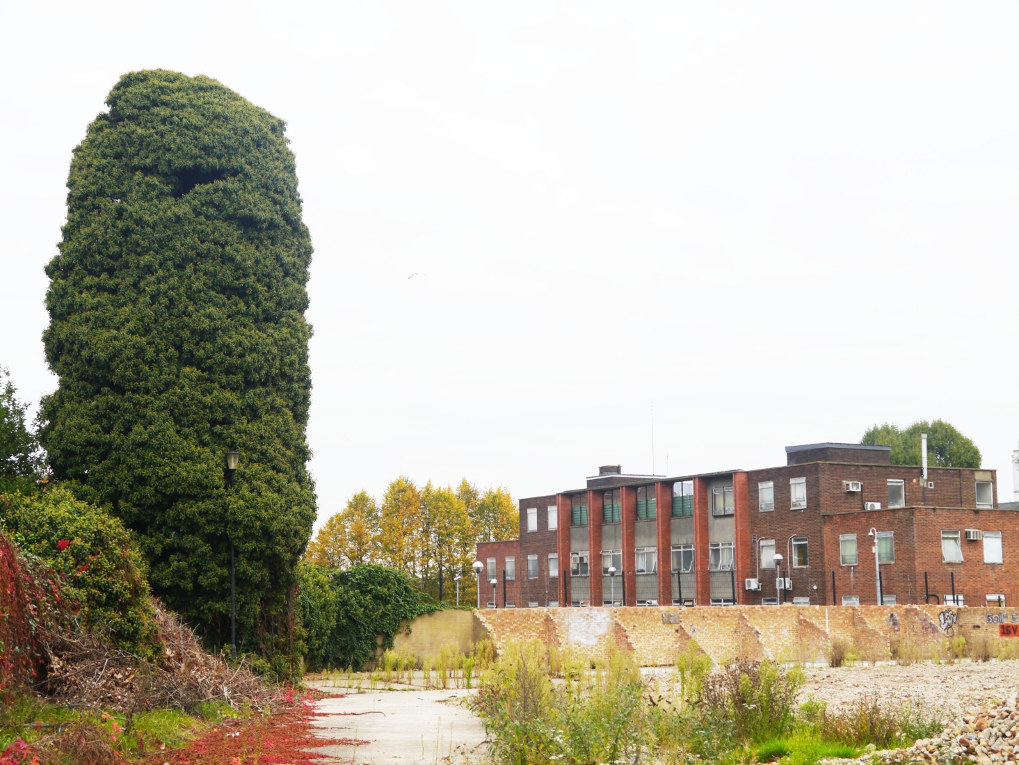 Adam Khan wins approval for council-backed housing in Hackney