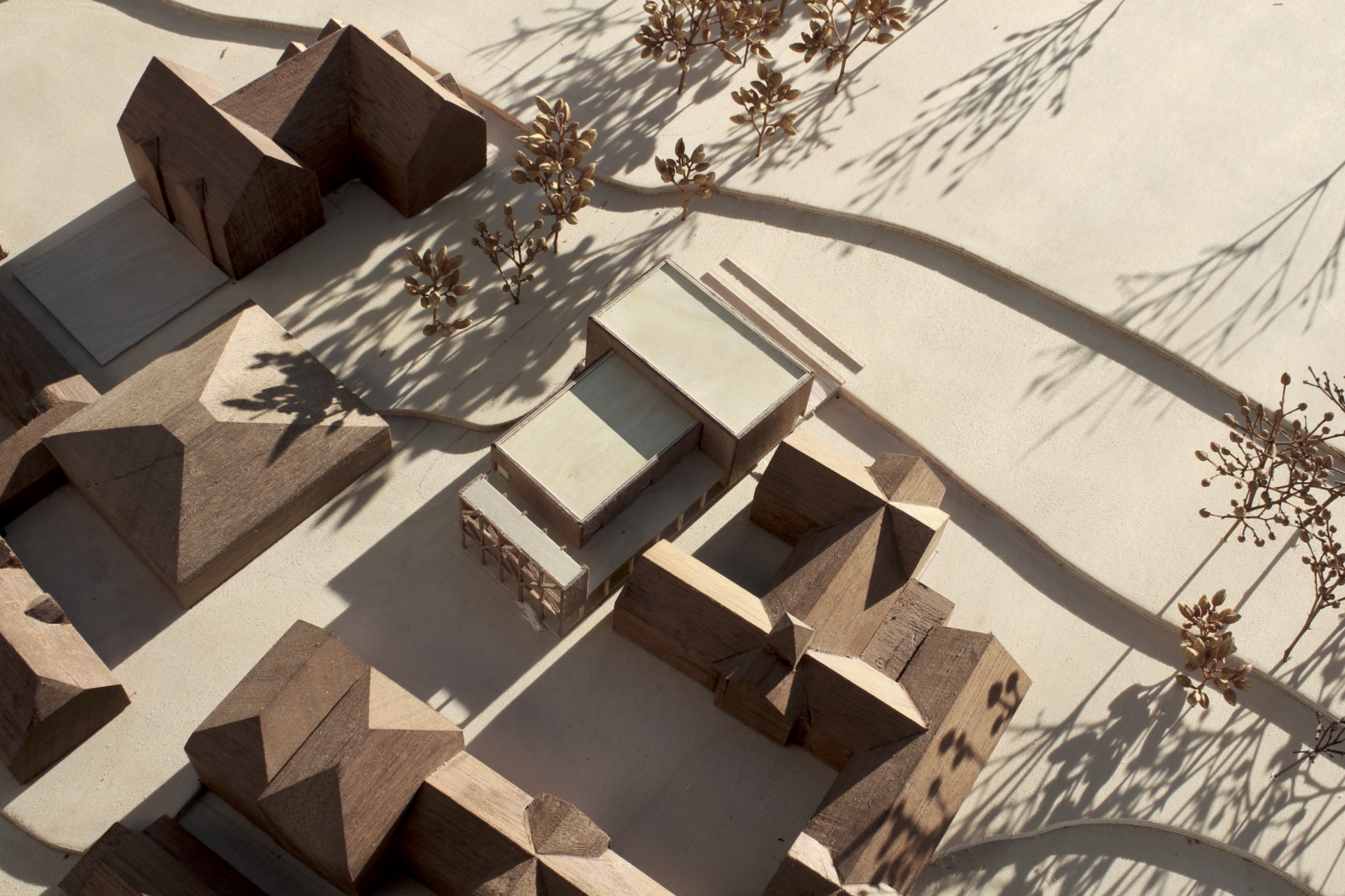 Jonathan Tuckey wins go-ahead for Newbury prep school theatre scheme