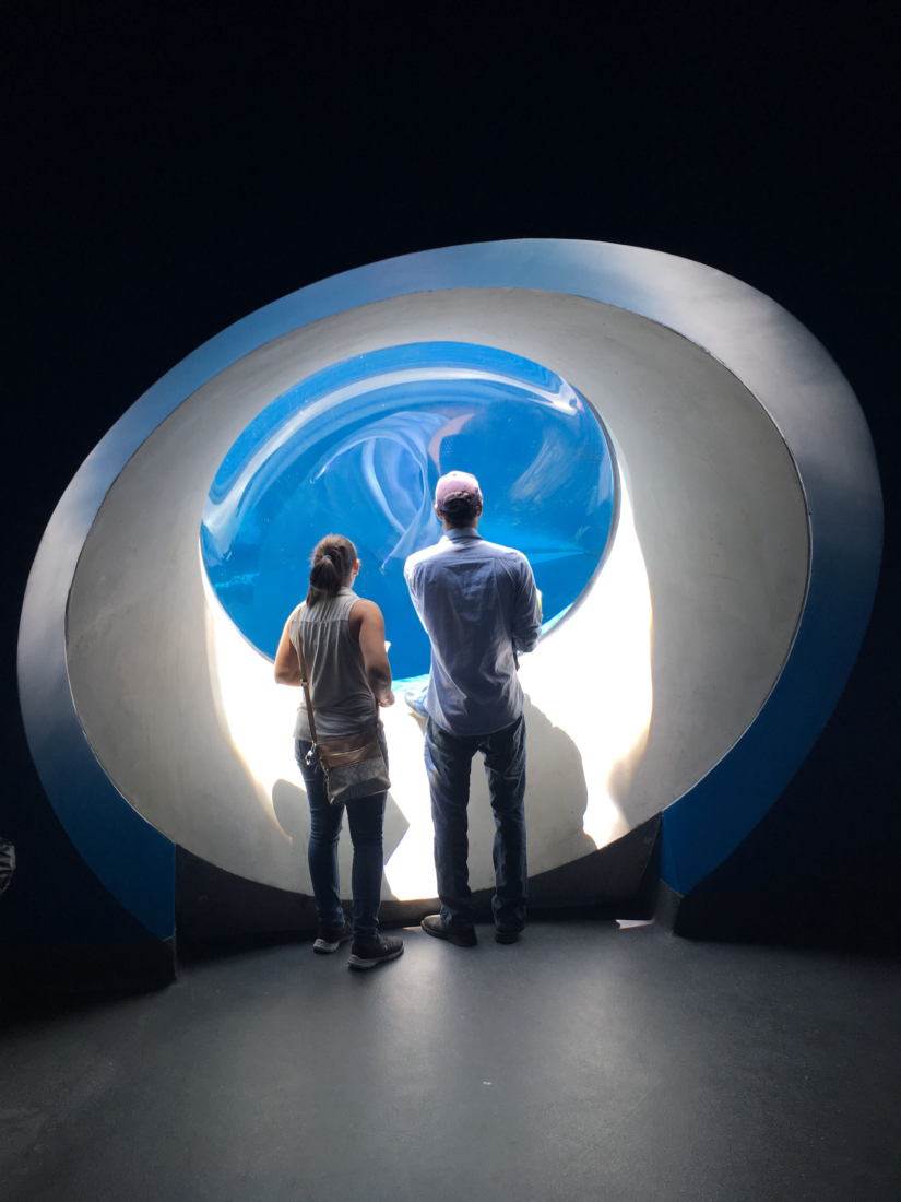 Oculus forms centrepiece of Grimshaw’s Frost Science Museum in Miami