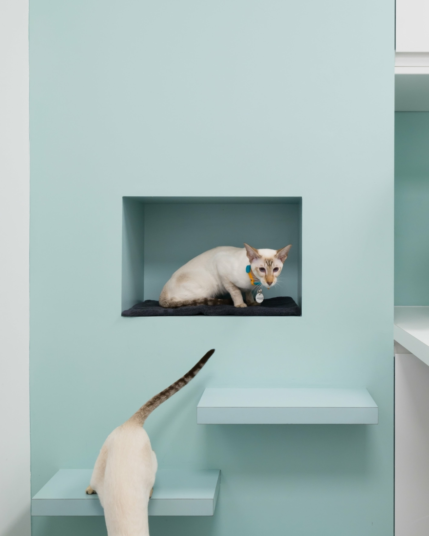 Feline functionalism: Gort Scott completes London Cat Clinic