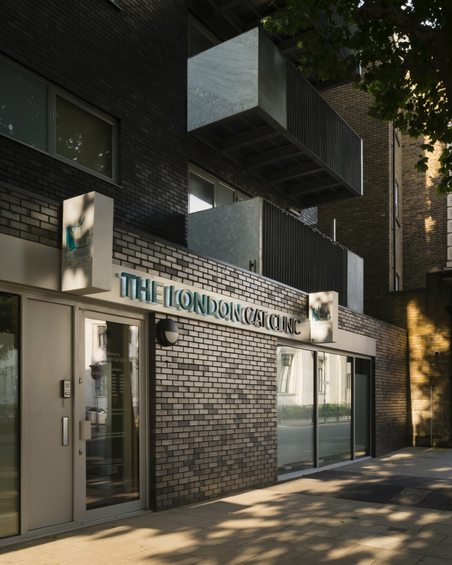 Feline functionalism: Gort Scott completes London Cat Clinic