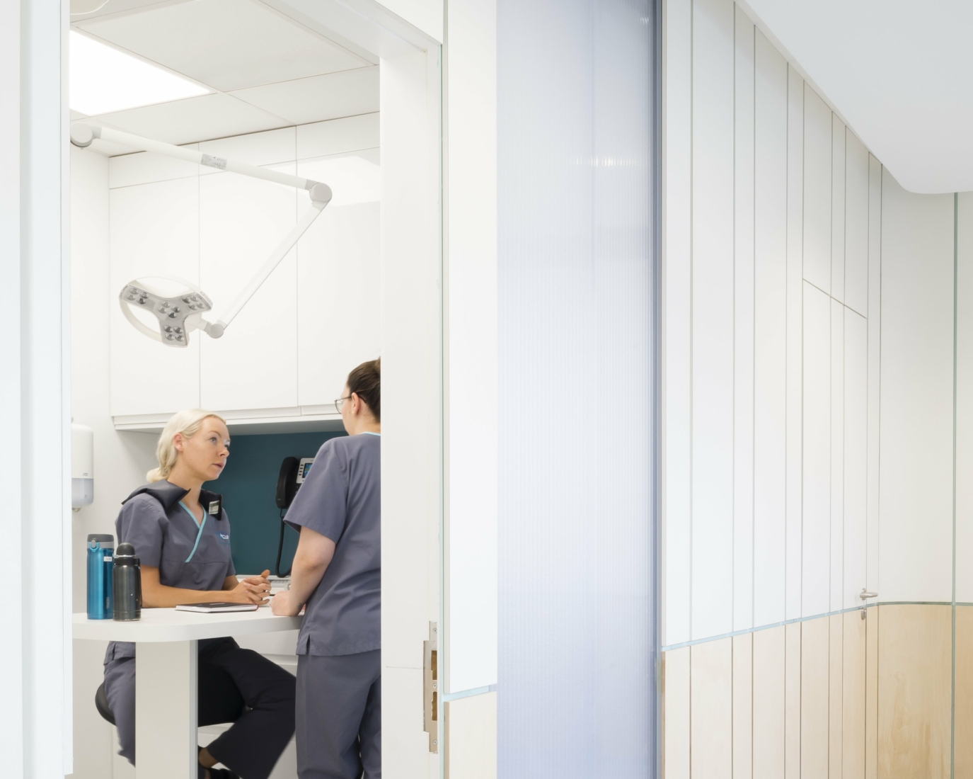 Feline functionalism: Gort Scott completes London Cat Clinic