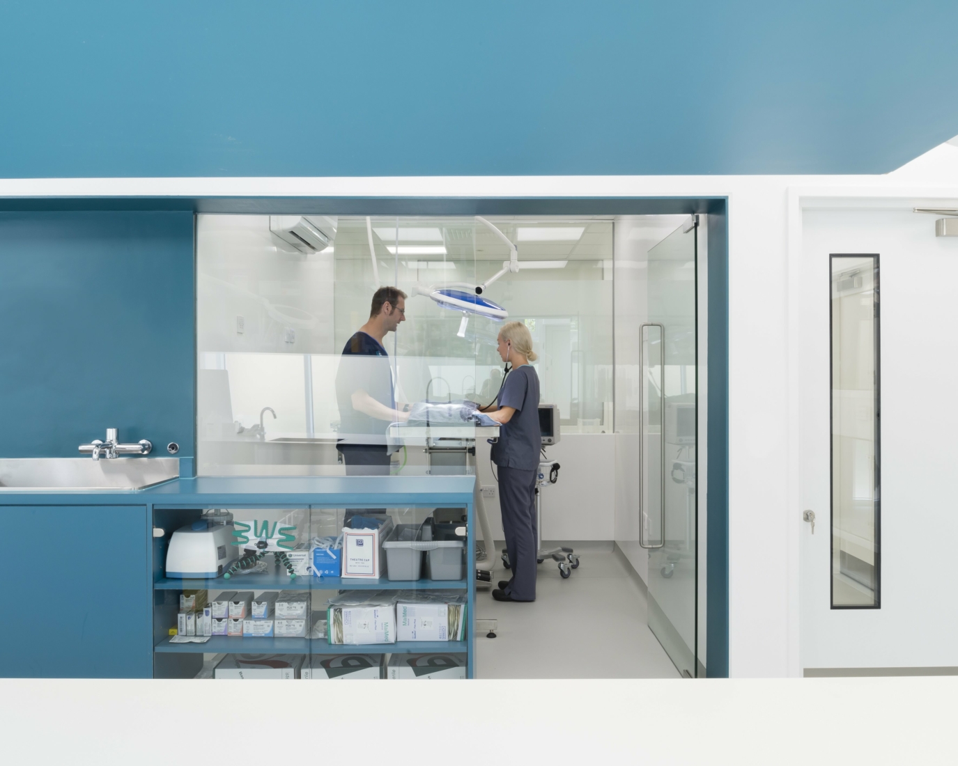 Feline functionalism: Gort Scott completes London Cat Clinic