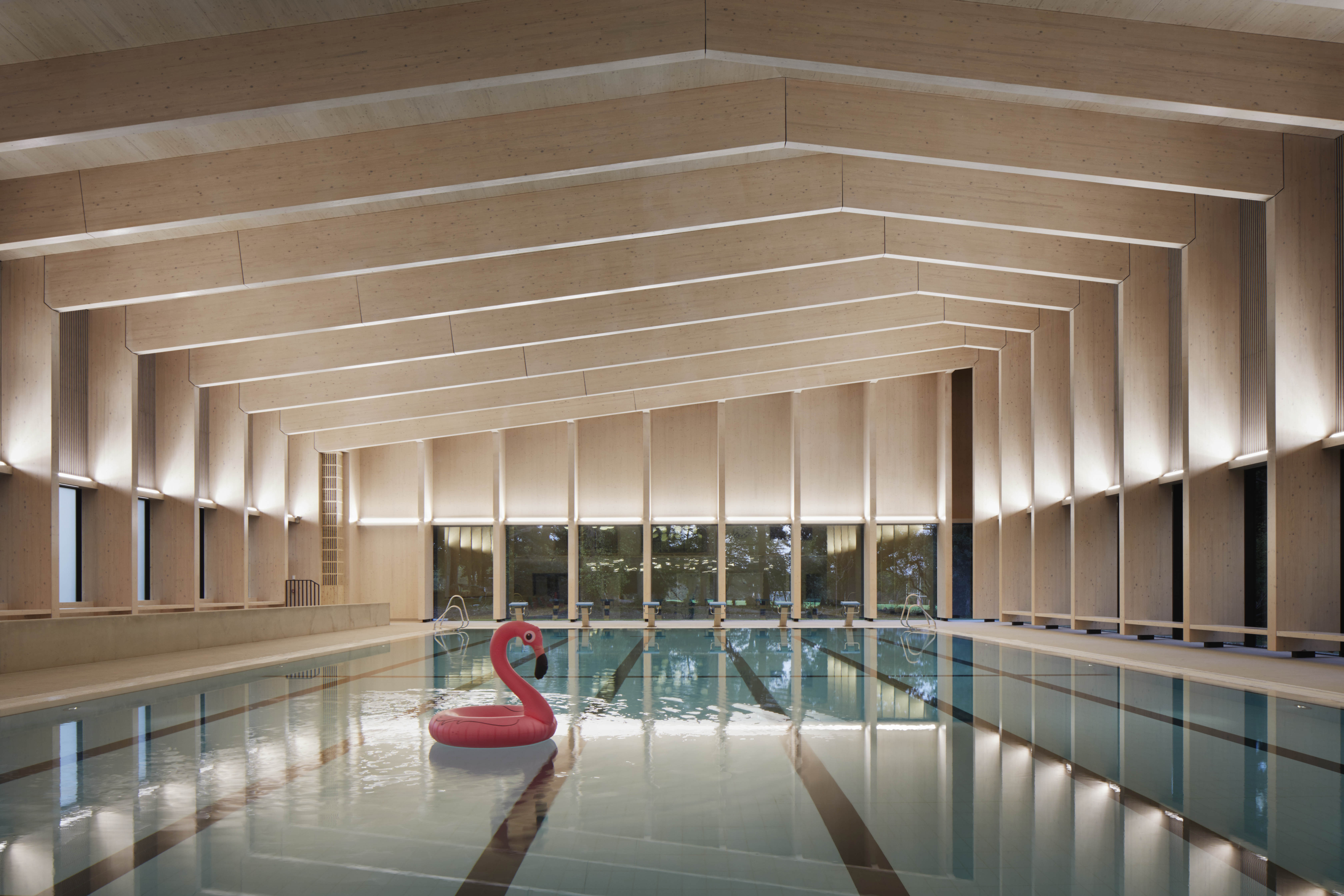 Hawkins\Brown completes engineered timber school swimming pool